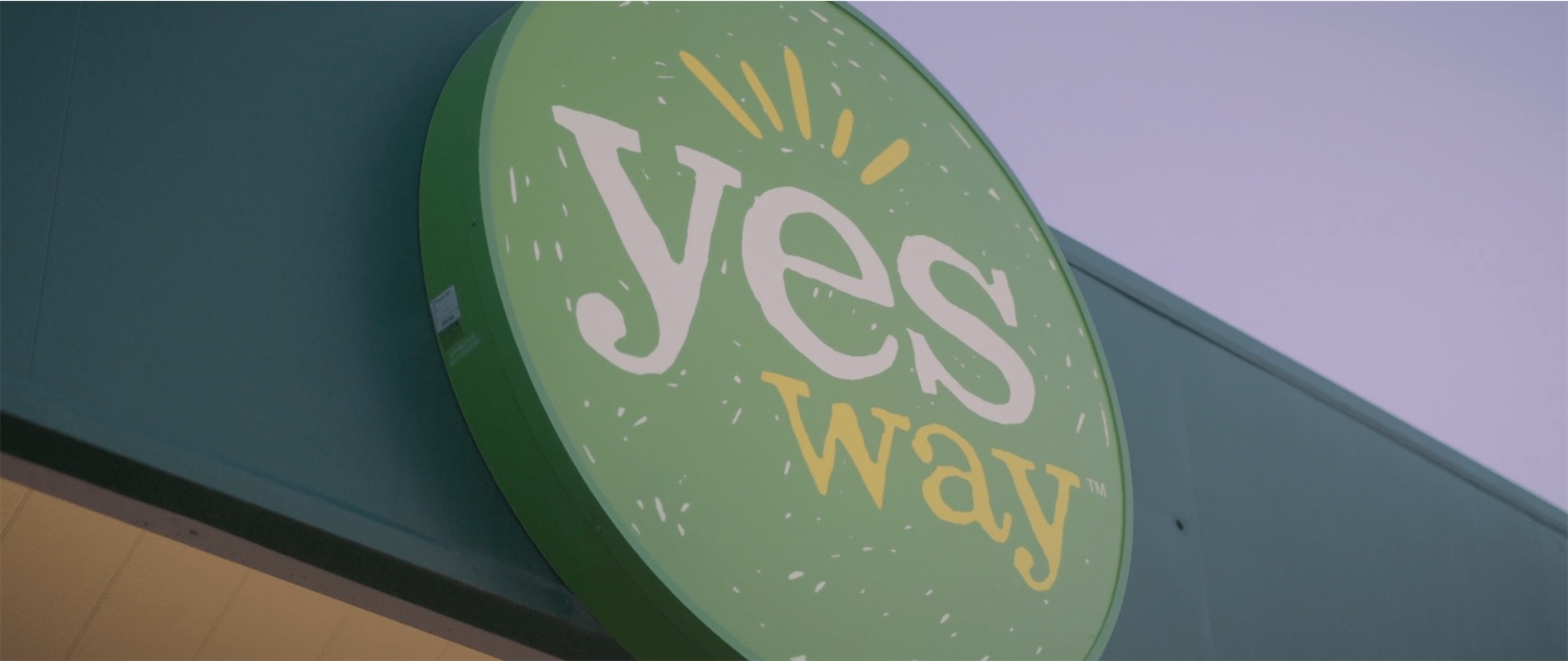 Portfolios - Cardboard Spaceship